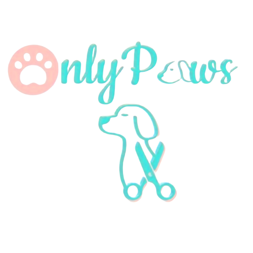Dog Grooming Near You | OnlyPaws